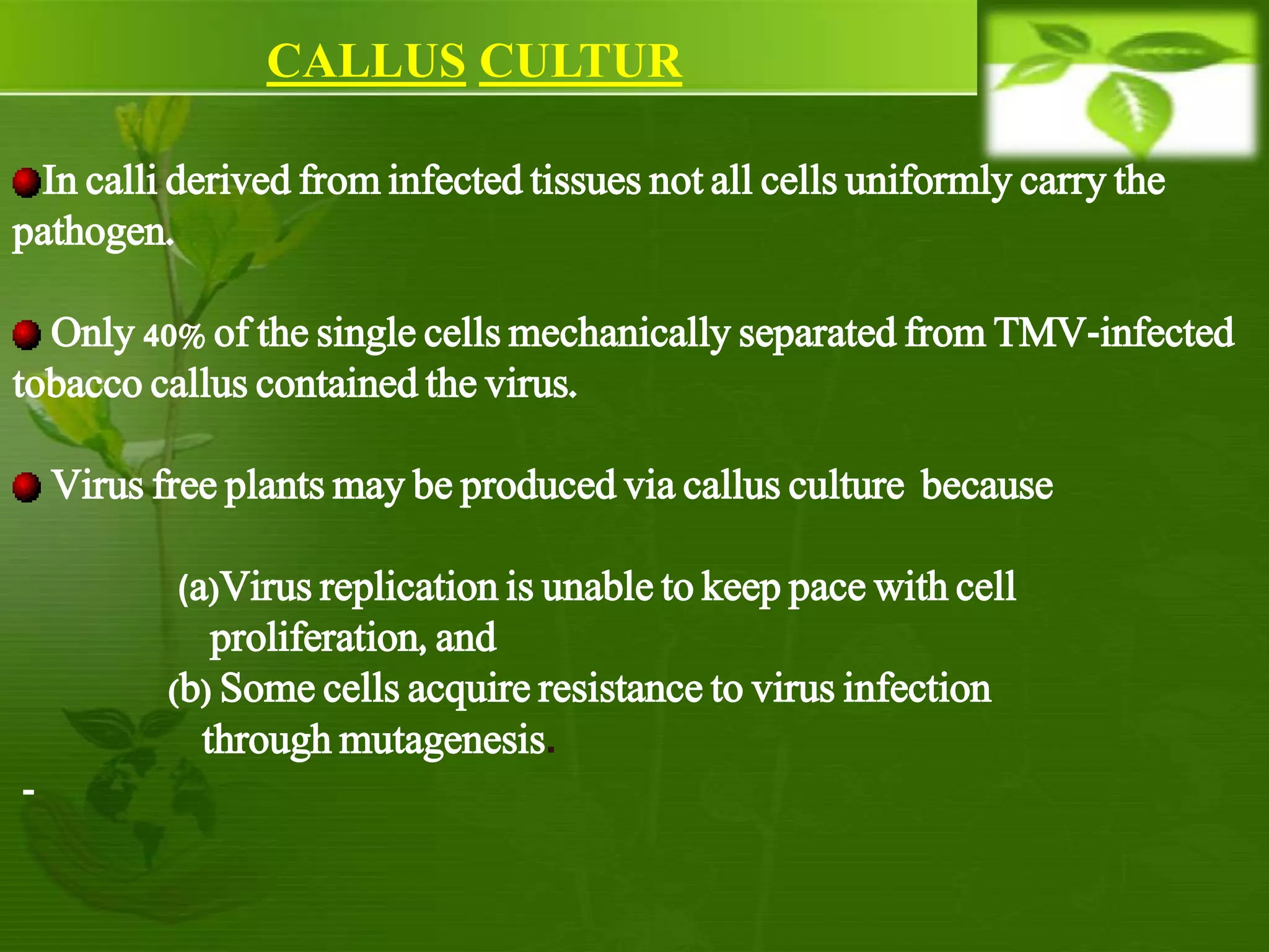 Virus free plants | PPT