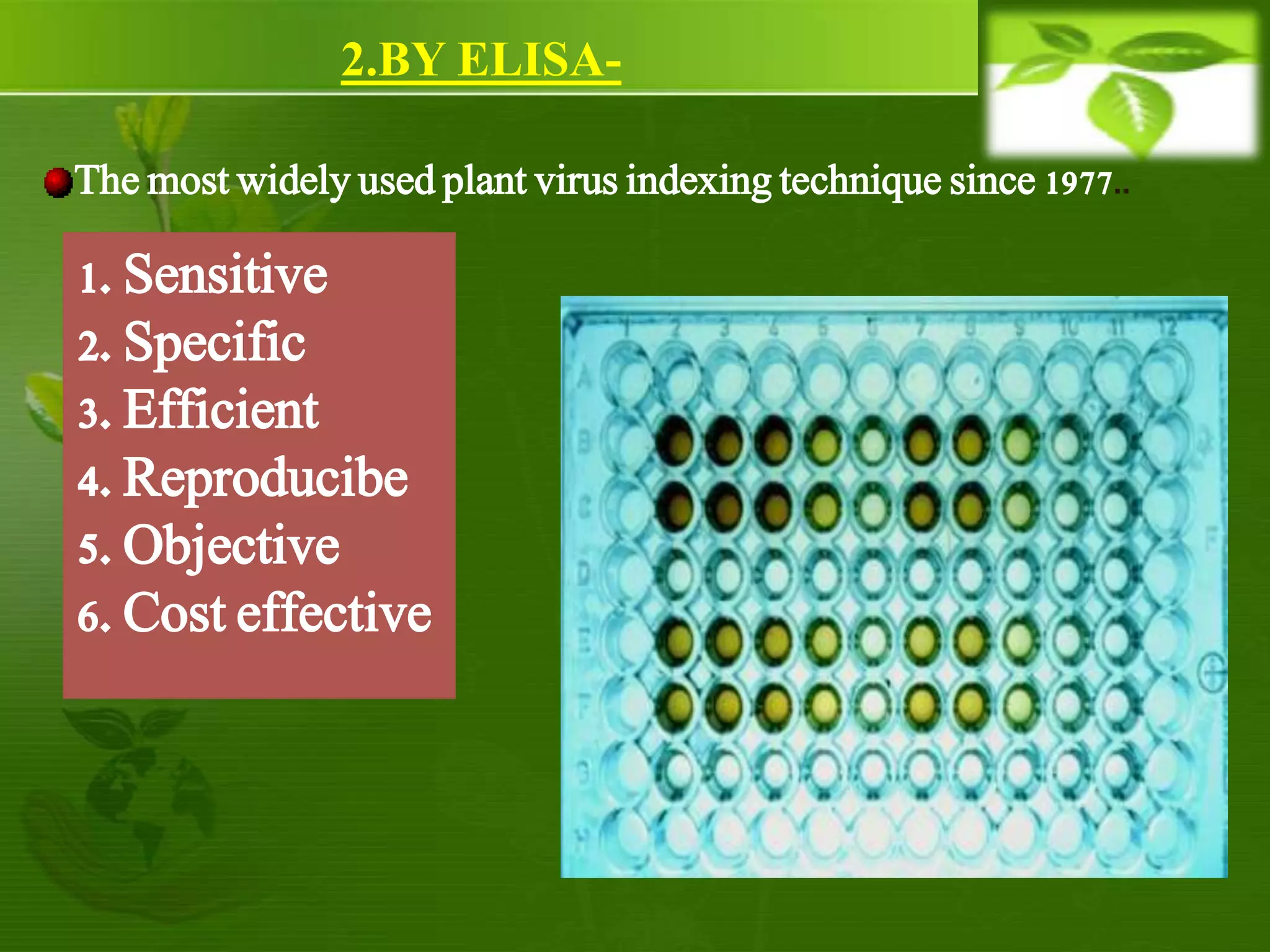 Virus free plants | PPT