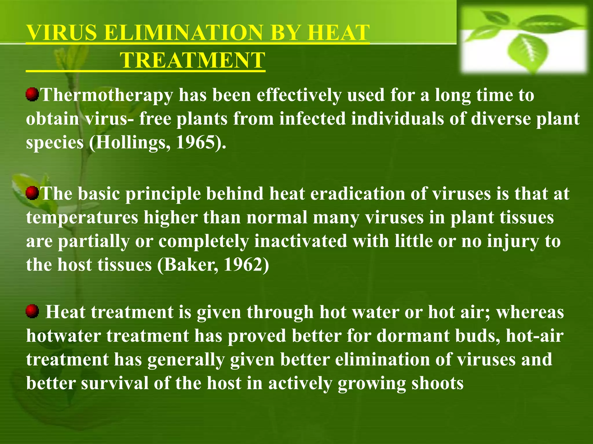 Virus free plants | PPT