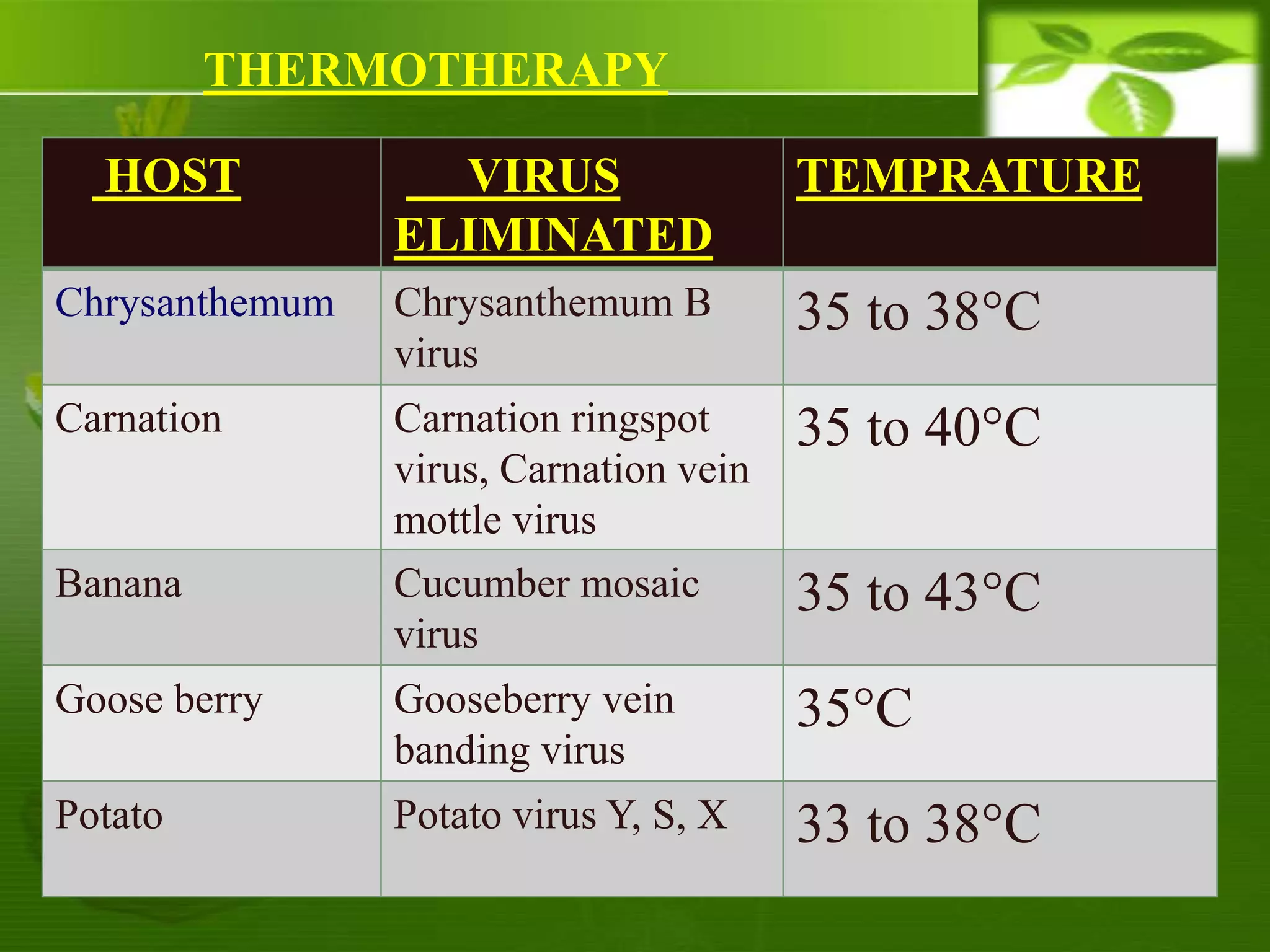 Virus free plants | PPT