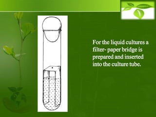 Virus free plants | PPT