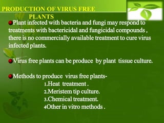 Virus free plants | PPT
