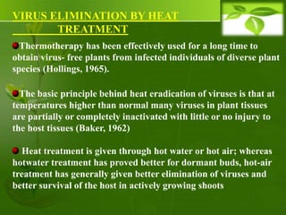 Virus free plants | PPT