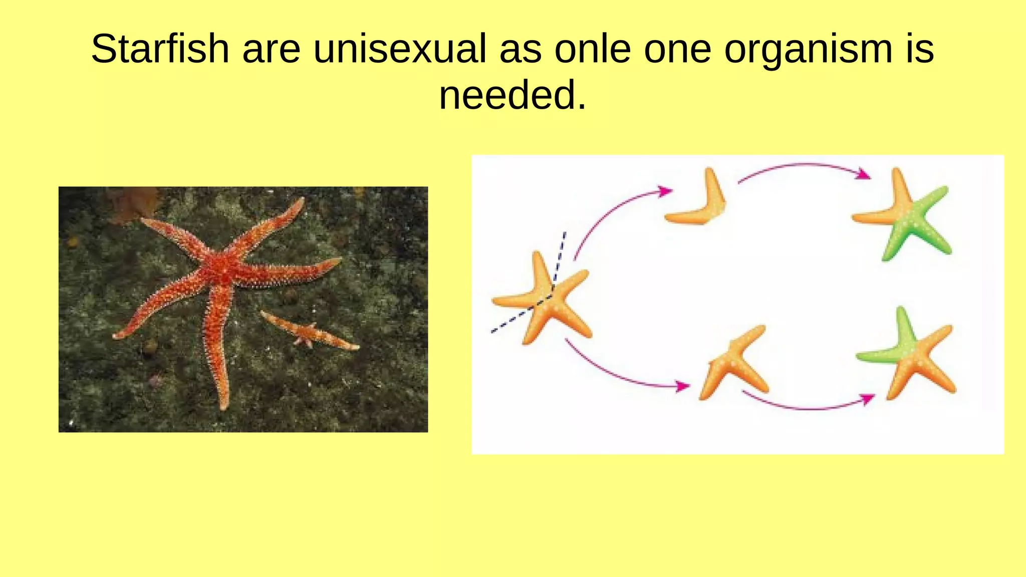 3 vital functions: reproduction | PDF | Reproductive Health | Diseases ...