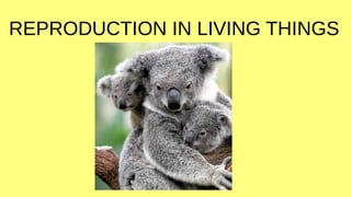 3 vital functions: reproduction | PDF | Reproductive Health | Diseases ...