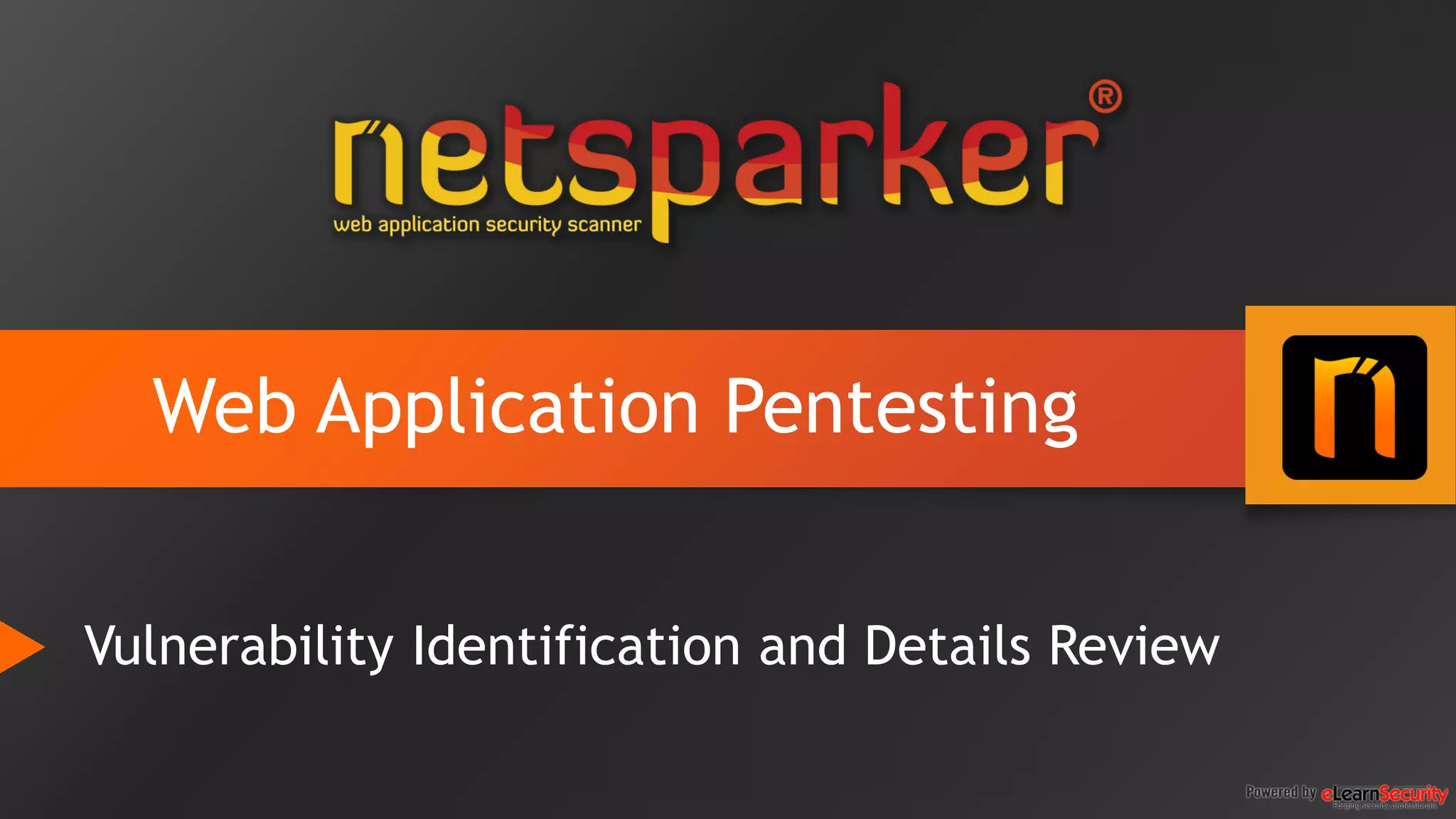 Web Application Penetration Tests Vulnerability Identification And