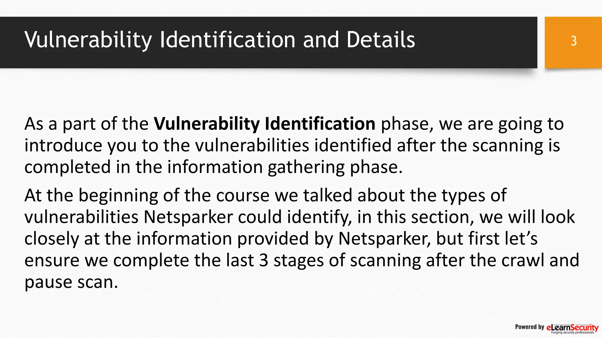 Web Application Penetration Tests - Vulnerability Identification and ...