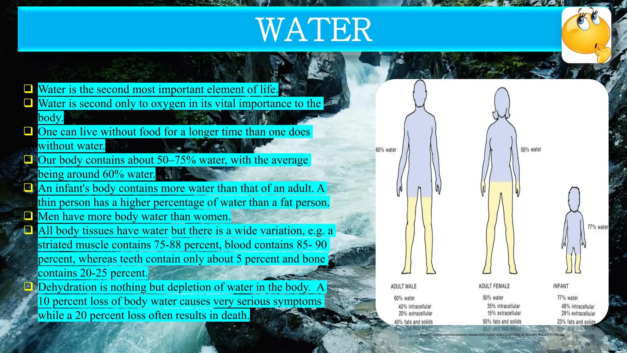 Properties & Functions of Water in Human Body.pdf