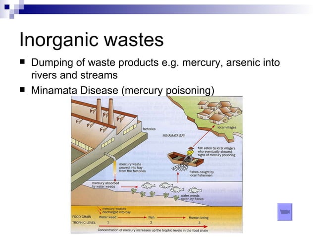 Chapter 22 Ecology Lesson 3 - Water pollution_Conservation | PPT | Science