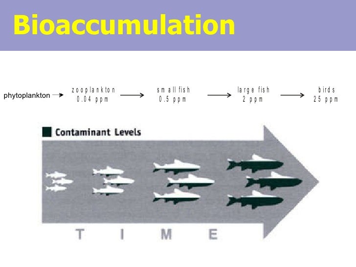 Chapter 22 Ecology Lesson 3 - Water pollution_Conservation