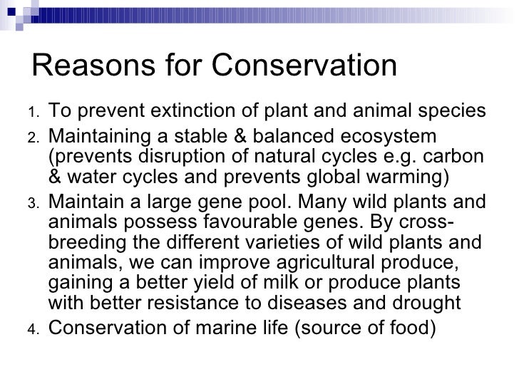 Chapter 22 Ecology Lesson 3 - Water pollution_Conservation