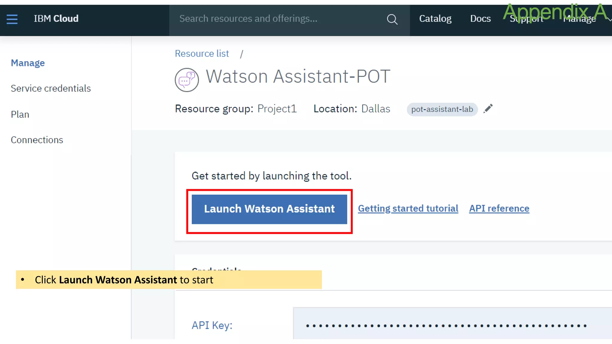 Watson Assistant Annotating Entities Tutorial Ppt
