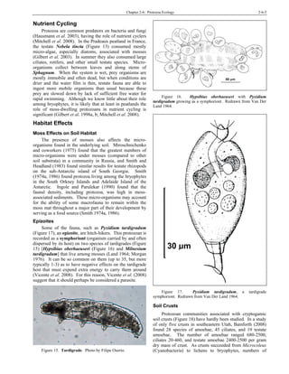 Protozoa ecology glime 2012 | PDF
