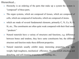 hierarchical.pptx