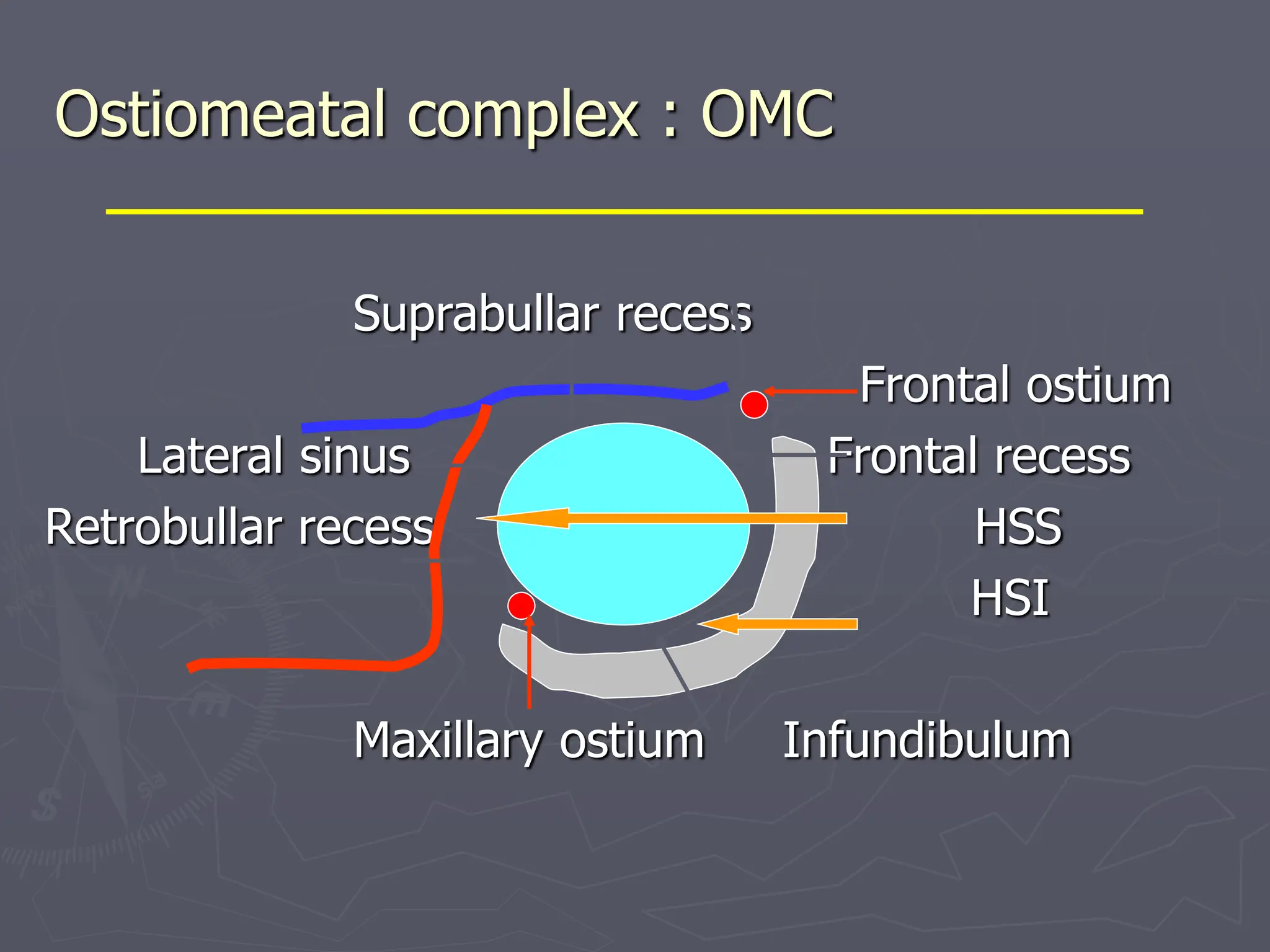 endoscopic_ana_of_nose__PNS in otolaryngology .ppt