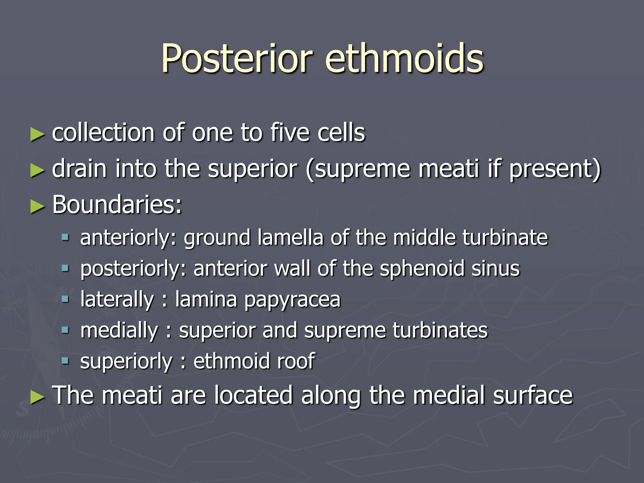 endoscopic_ana_of_nose__PNS in otolaryngology .ppt