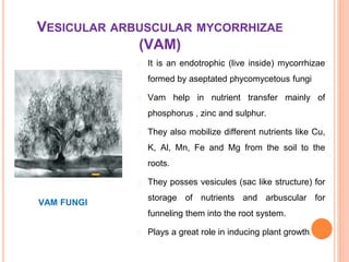 Thursday seminar | PPT