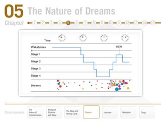 Chapter 5 Consciousness | PPT