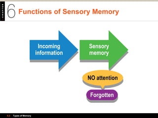 Psychology 101 Chapter 6 Memory | PPT