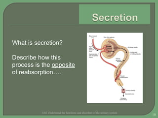 Functions and Disorders of Urinary System | PPTX