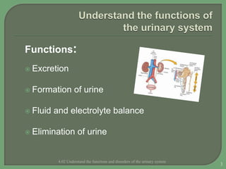Functions and Disorders of Urinary System | PPTX