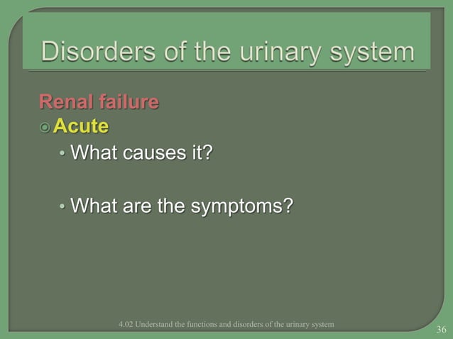 Functions and Disorders of Urinary System | PPTX