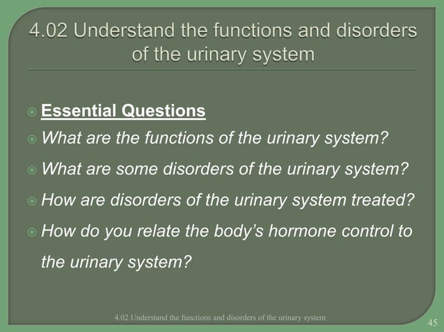 Functions and Disorders of Urinary System | PPTX