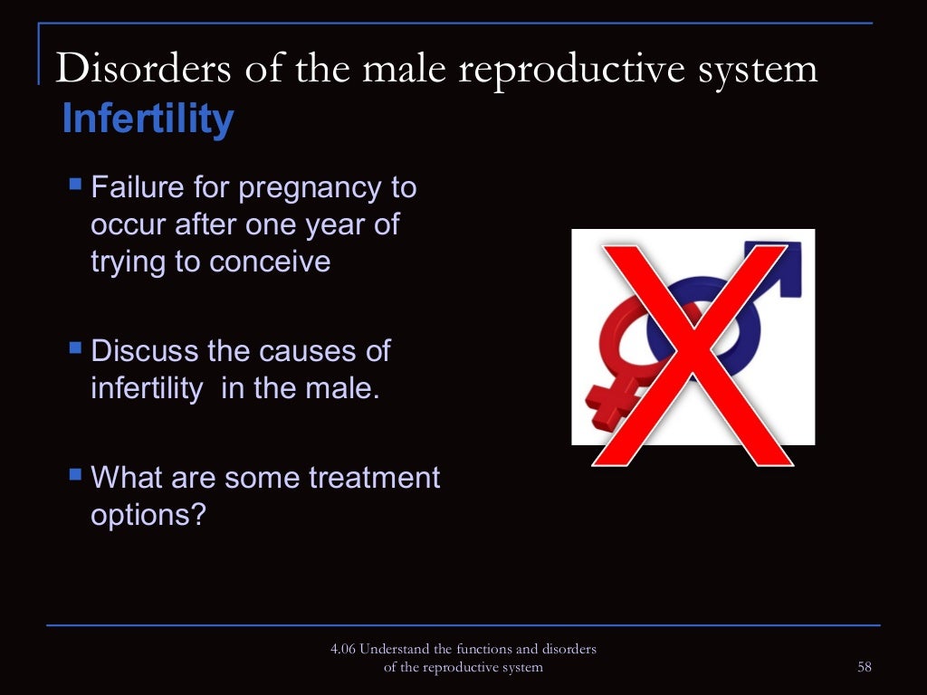 Functions And Disorders Of The Reproductive System
