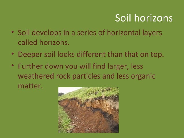 4.2 Weathering And Soil Formation | PPT | Gardening | Home & Garden