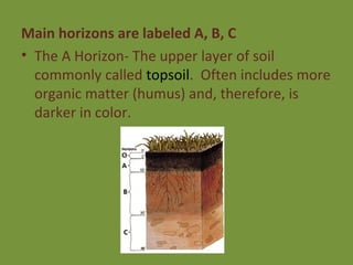 4.2 Weathering And Soil Formation | PPT