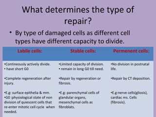 4 1-repair | PPT