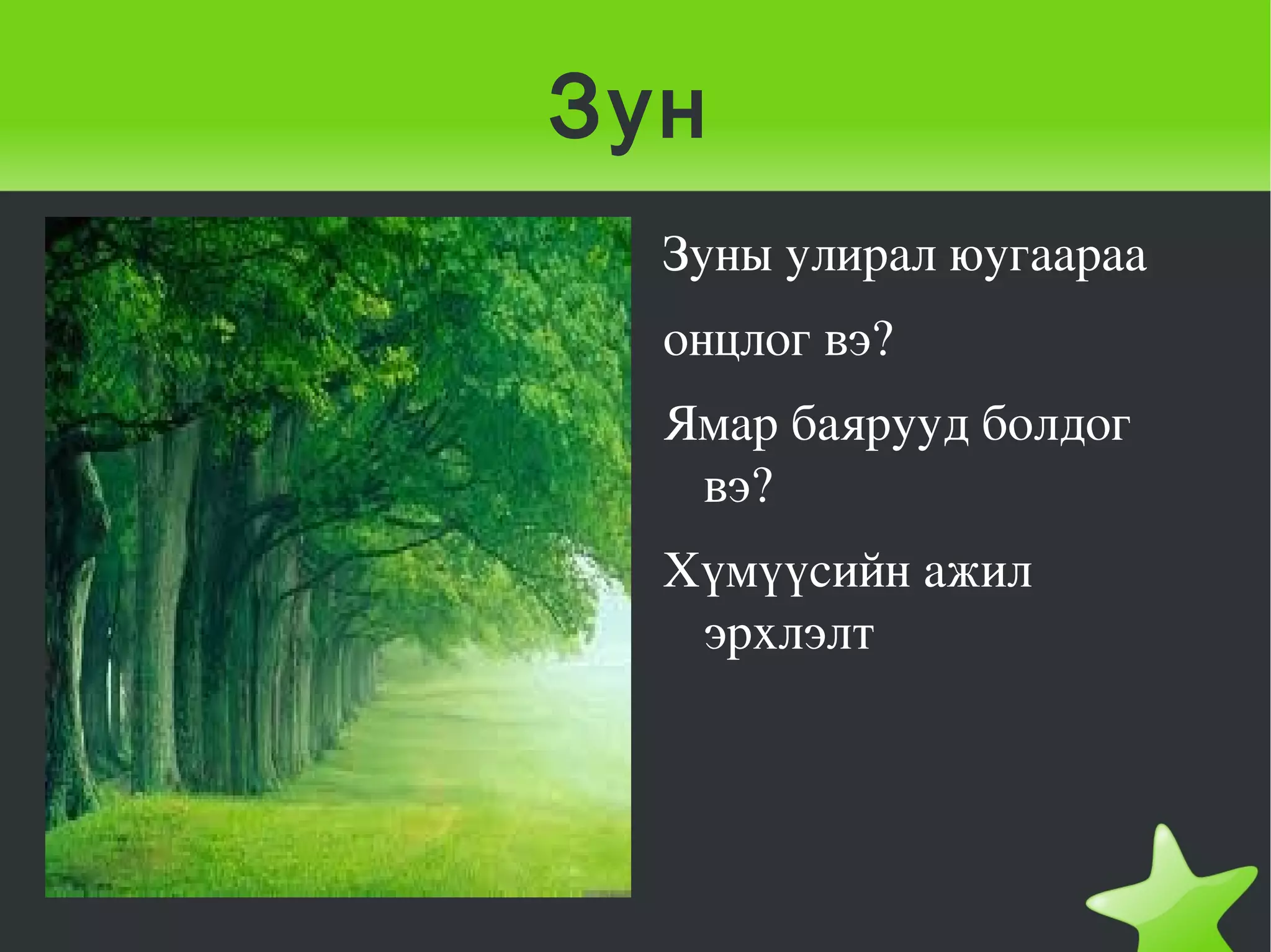 жилийн 4 улирал Odp