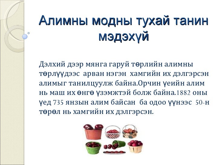 4 анги алимны мод эхэд эхийн задлал хийх аргачлал цэрэн орших