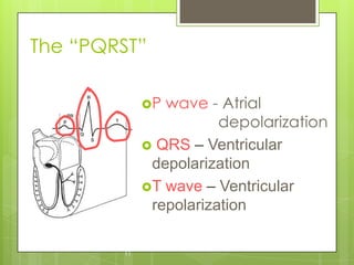 ECG | PPTX