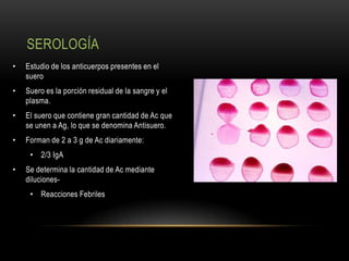 4. Anticuerpos y Antigenos | PPTX