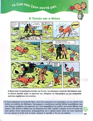 ενότητα 4 (τα ζώα που ζουν κοντά μας) | PDF