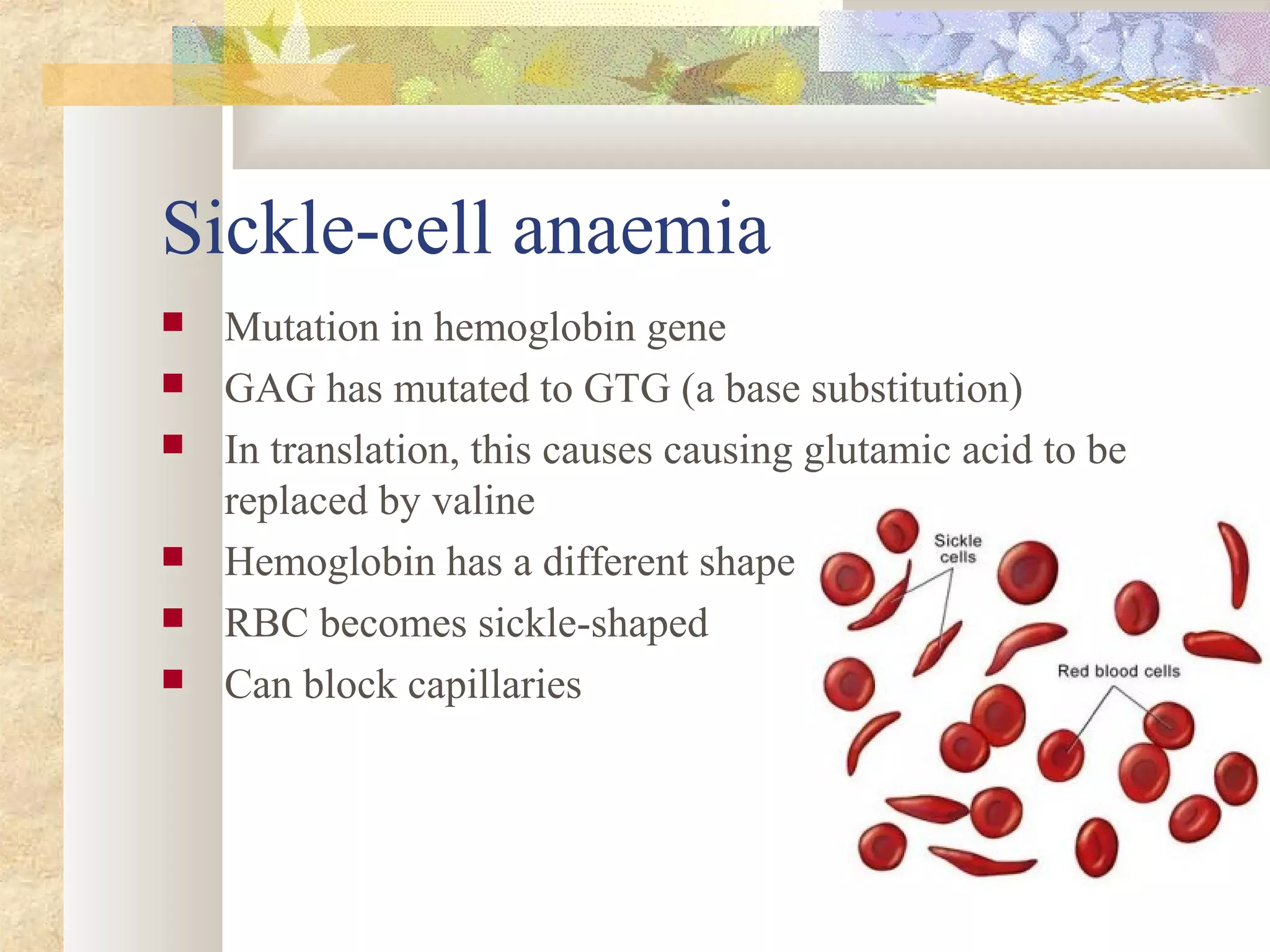 4.1 chromosomes, genes, alleles & mutations | PPT