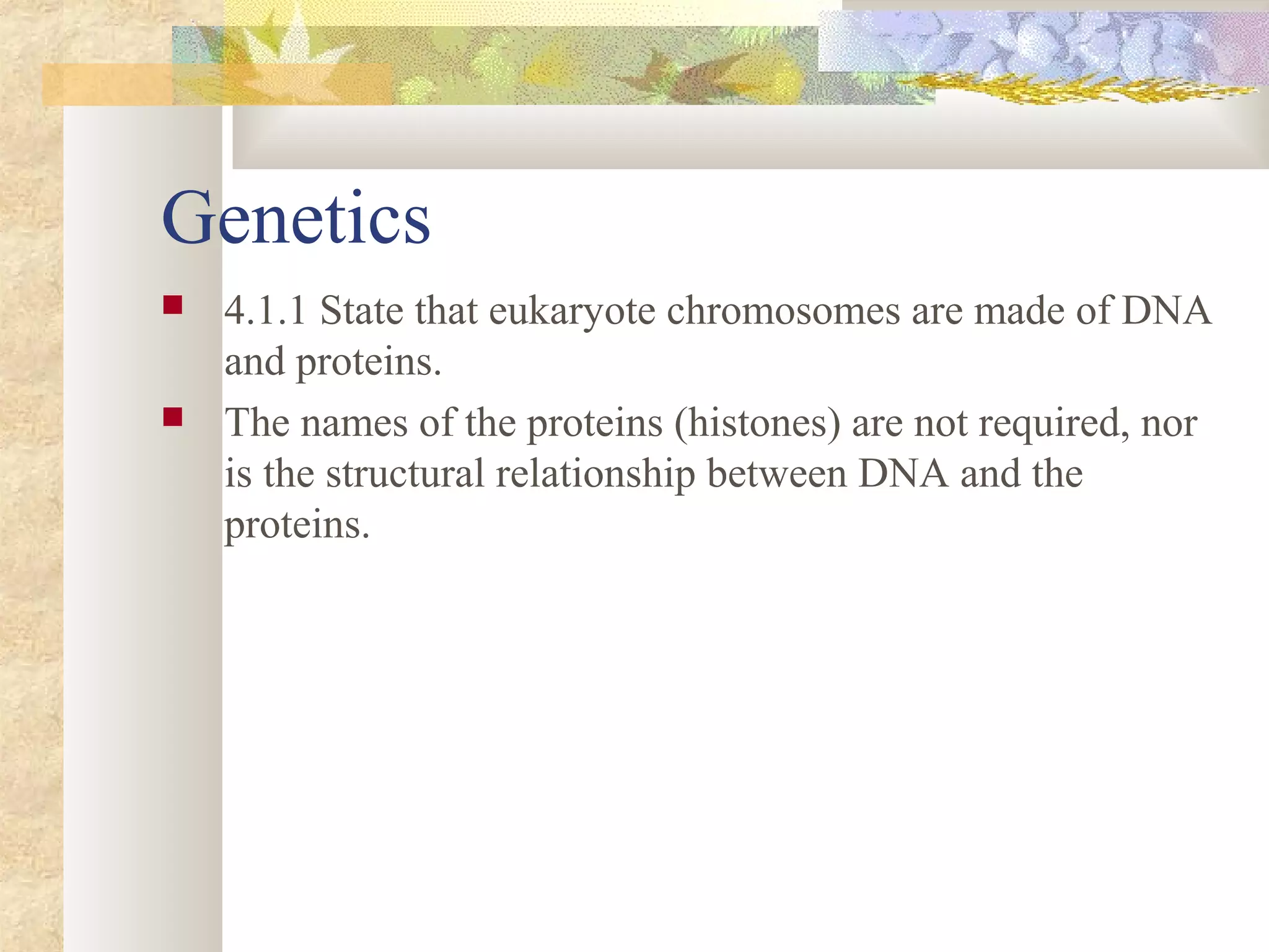 4.1 chromosomes, genes, alleles & mutations | PPT