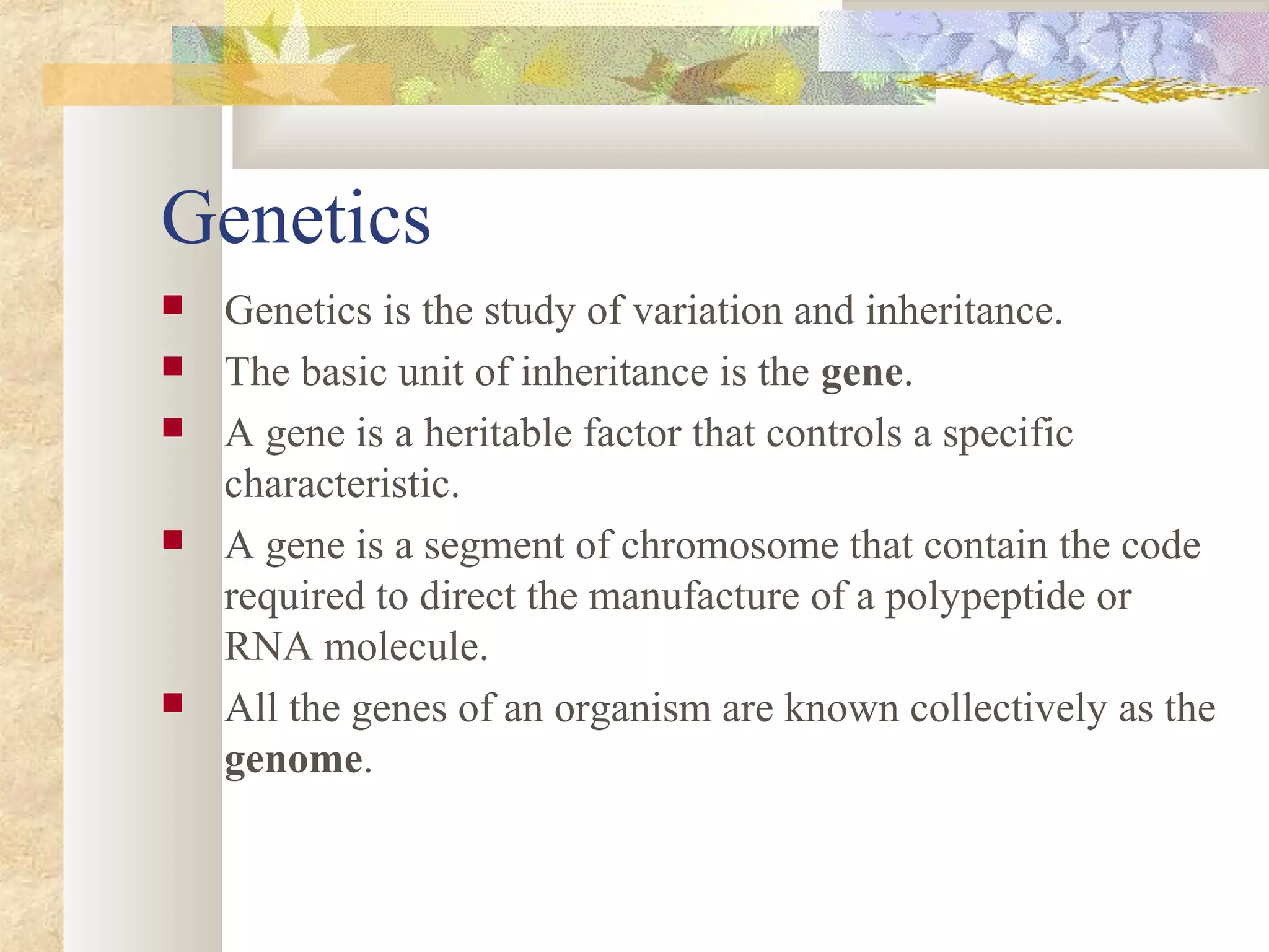 4.1 chromosomes, genes, alleles & mutations | PPT