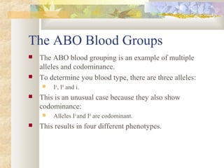 4.3 theoretical genetics | PPT