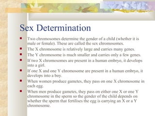 4.3 theoretical genetics | PPT | Genetics | Science