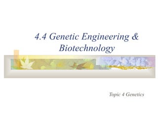 4.4 genetic engineering & biotechnology | PPT