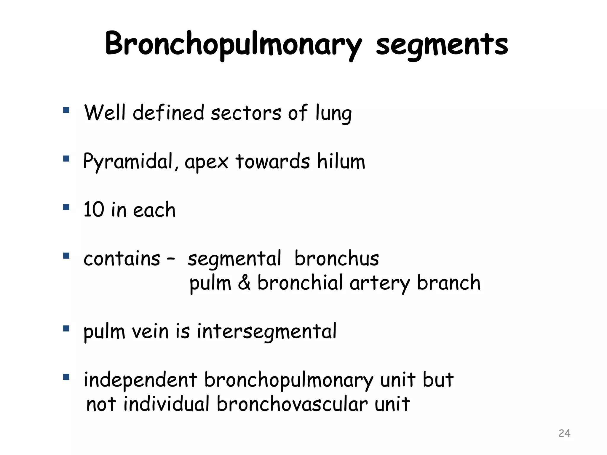 lungs bp segments | PPT