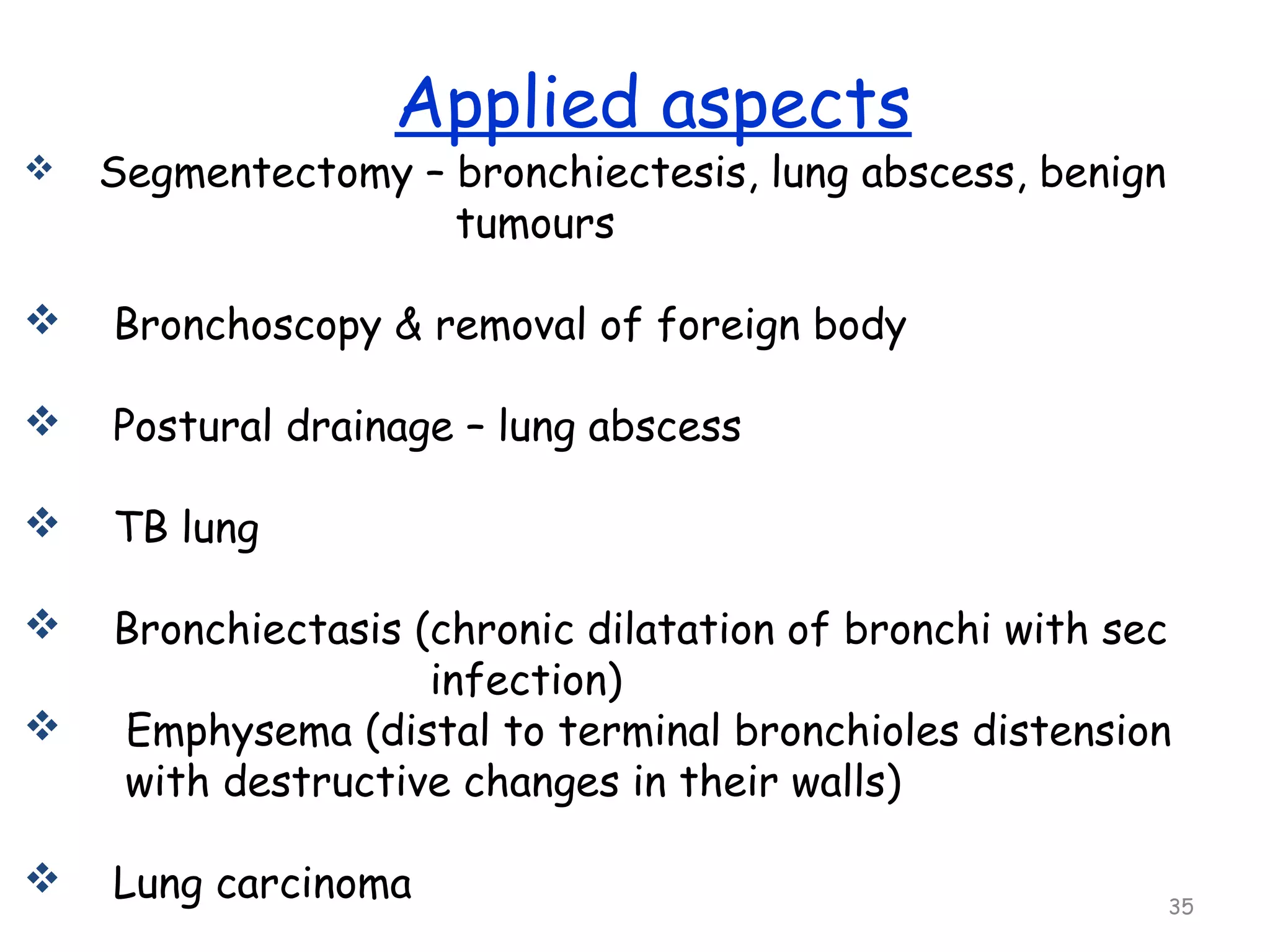 lungs bp segments | PPT