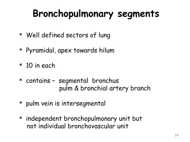 lungs bp segments | PPT | Lung and Respiratory Health | Diseases and ...