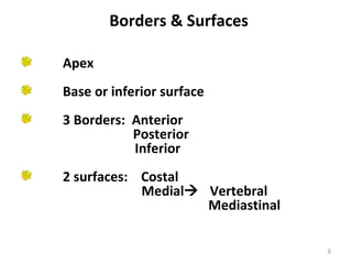lungs bp segments | PPT