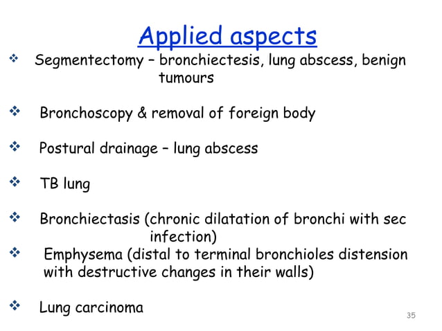 lungs bp segments | PPT | Lung and Respiratory Health | Diseases and ...