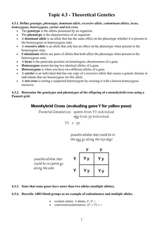 4.3 theoretical genetics notes | DOC | Reproductive Health | Diseases ...