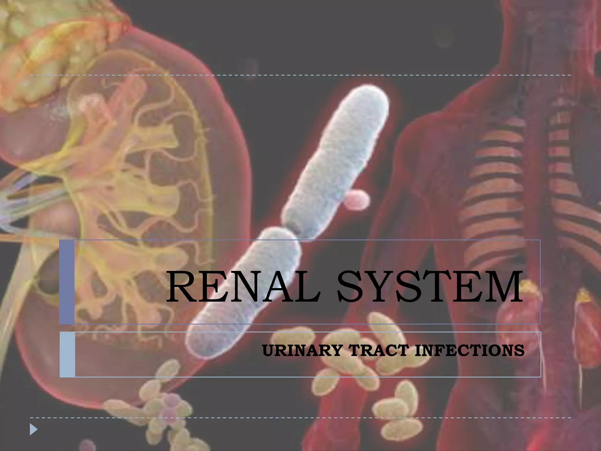 UTI in children | PPTX