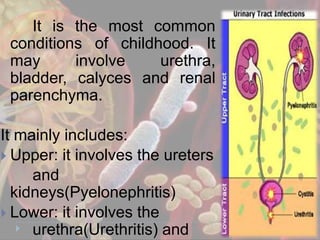 UTI in children | PPTX